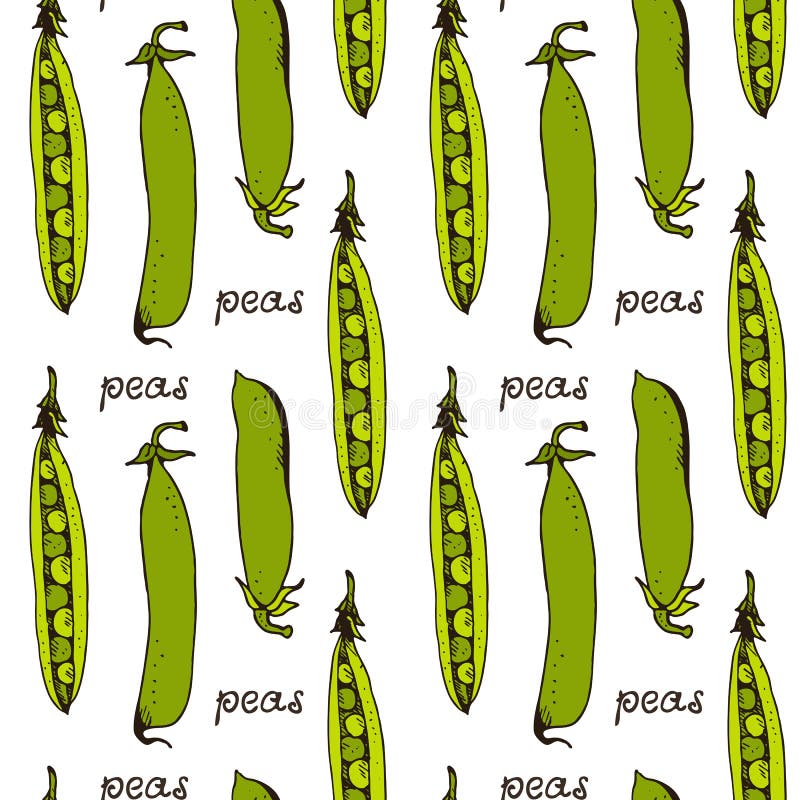 Peas seamless background stock vector. Illustration of plant - 32699149
