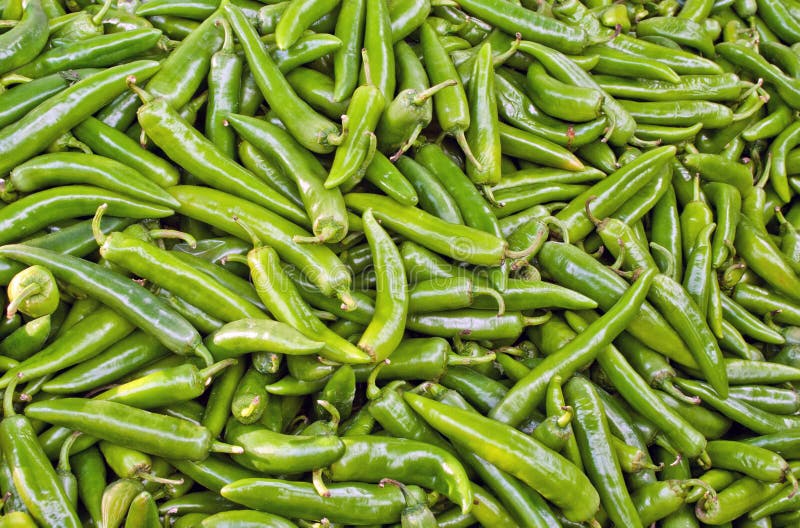 Green pepper stock photo. Image of color, group, cook - 17531196