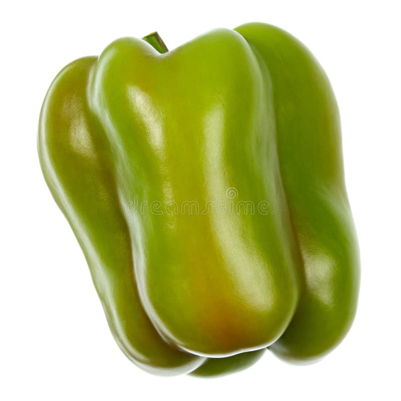 Green pepper stock image. Image of savoury, single, eating - 26716389