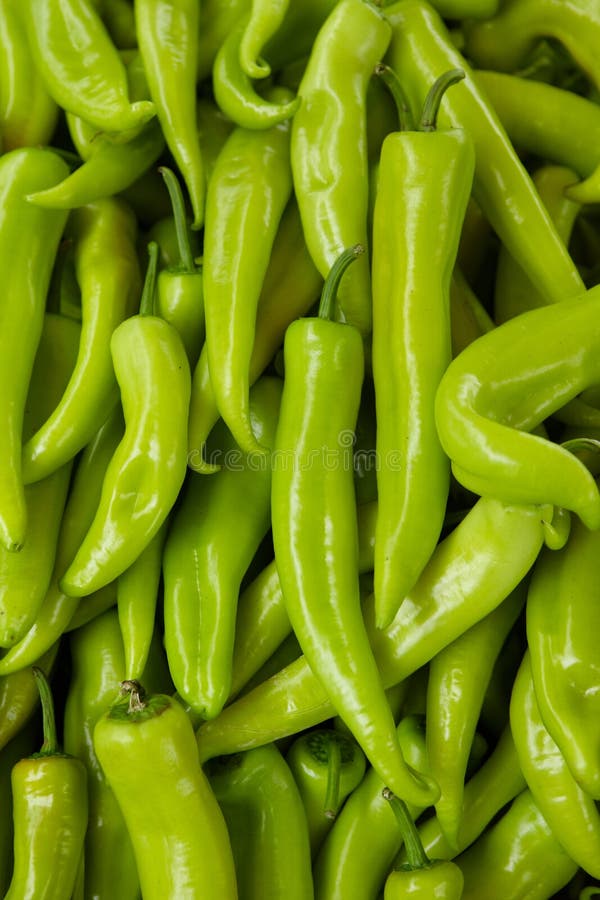 Green pepper background stock image. Image of organic - 13464683