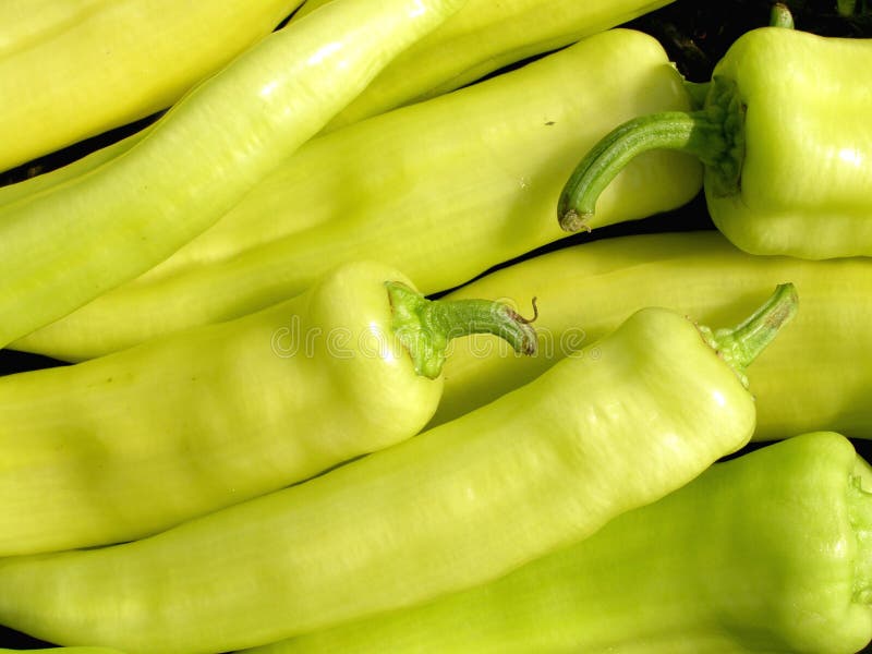 Green pepper background stock photo. Image of especial - 14120852