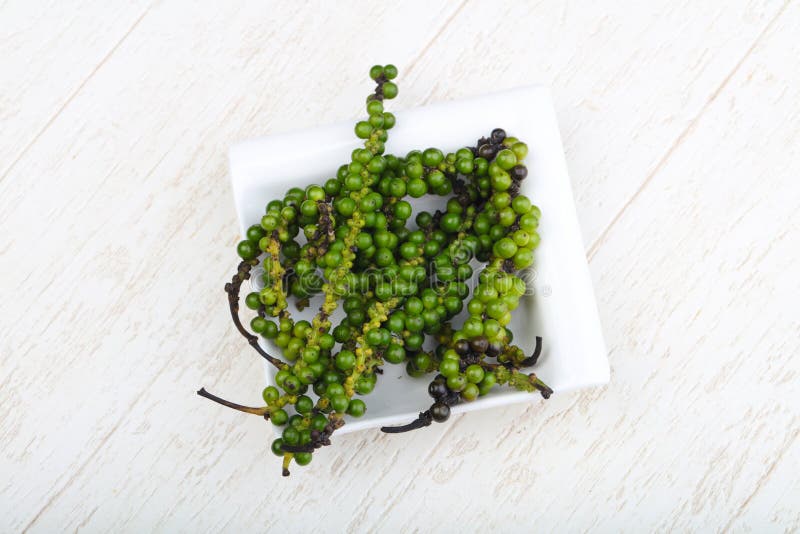 Green pepper corn stock image. Image of pepper, nature - 81522017