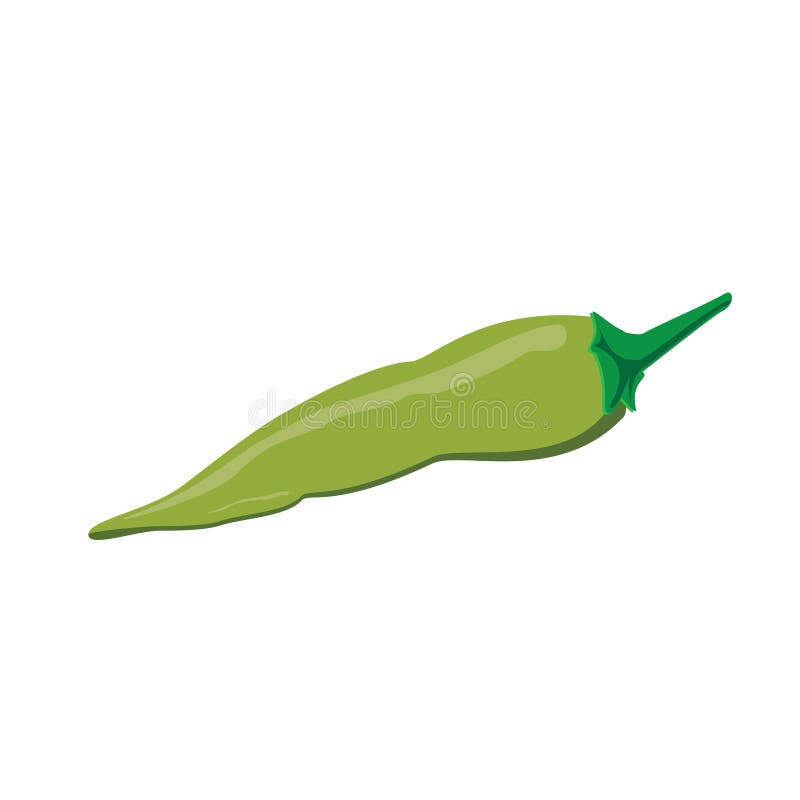 Vector Shiny Green Chili Pepper Stylized with Black Outlines Stock ...