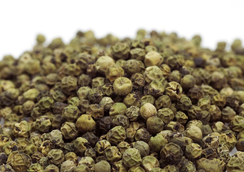 Poivre vert stock photo. Image of green, pepper, spice - 171564420