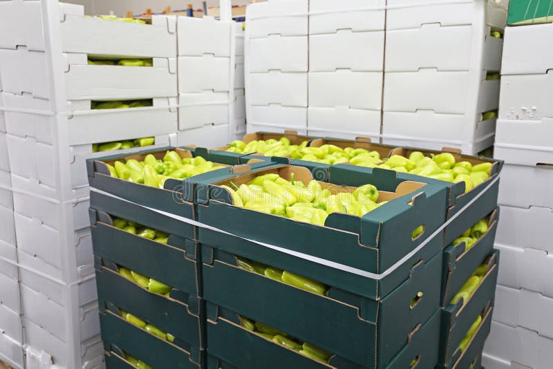 Peppers Warehouse stock photo. Image of storage, crate - 178219992