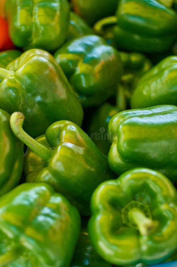 Organic Green Peppers stock image. Image of fresh, natural - 55952793