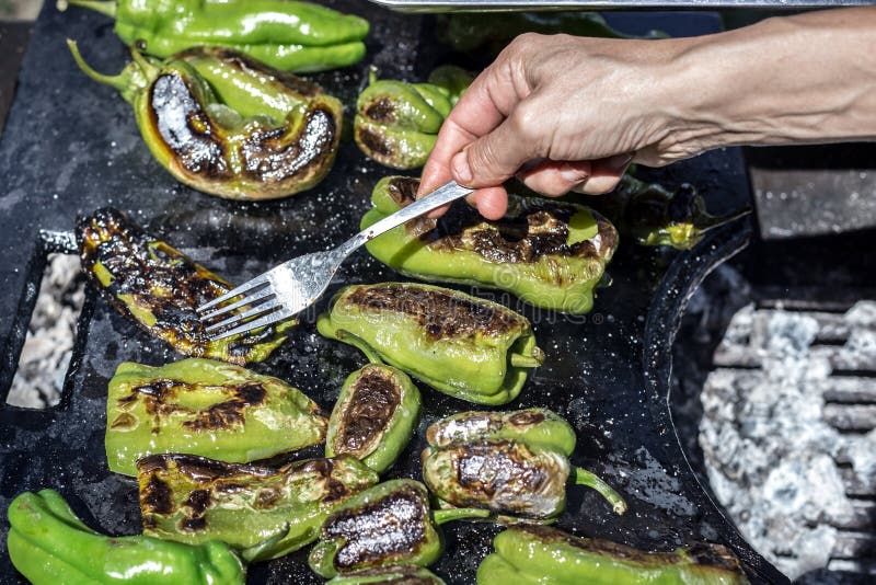 Barbecue time stock image. Image of pork, beef, coal, fresh - 5264919
