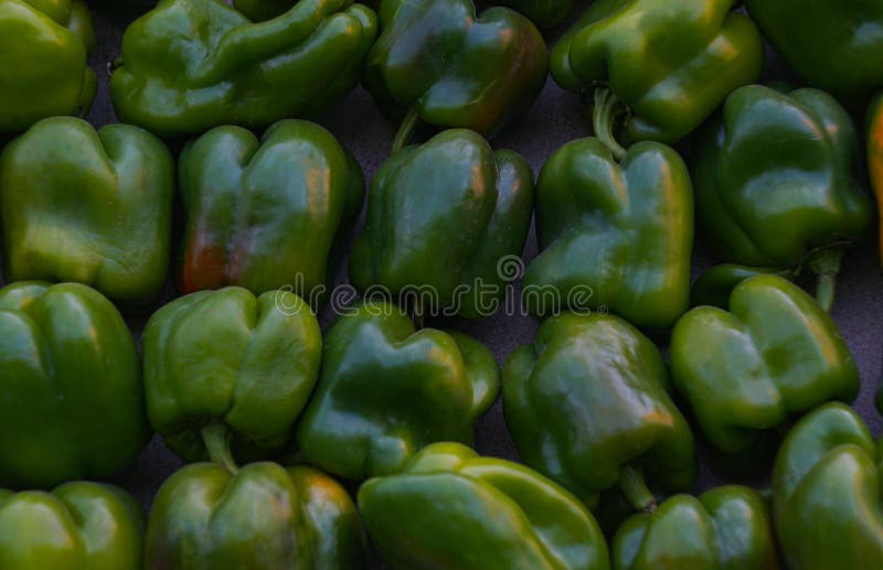 Green Peppers Stand in a Row Stock Photo - Image of horizontal, food ...
