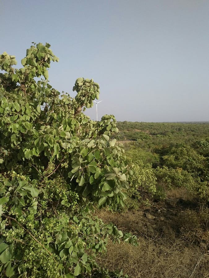 Netur Stock Photos - Free & Royalty-Free Stock Photos from Dreamstime