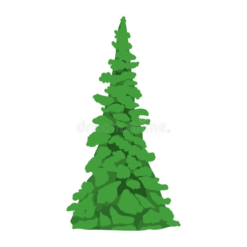 Green pine tree stock vector. Illustration of design - 79181494
