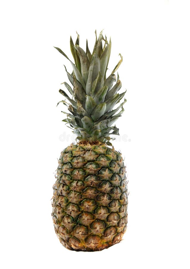 Pineapple stock image. Image of food, fresh, gourmet - 17431797