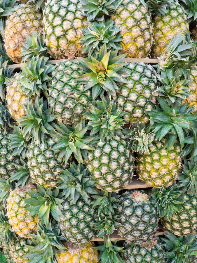 Green pineapple stock image. Image of tasty, sweet, natural - 98259725