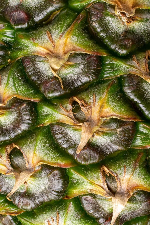Green Pineapple Peel with Visible Details. Background Stock Photo ...