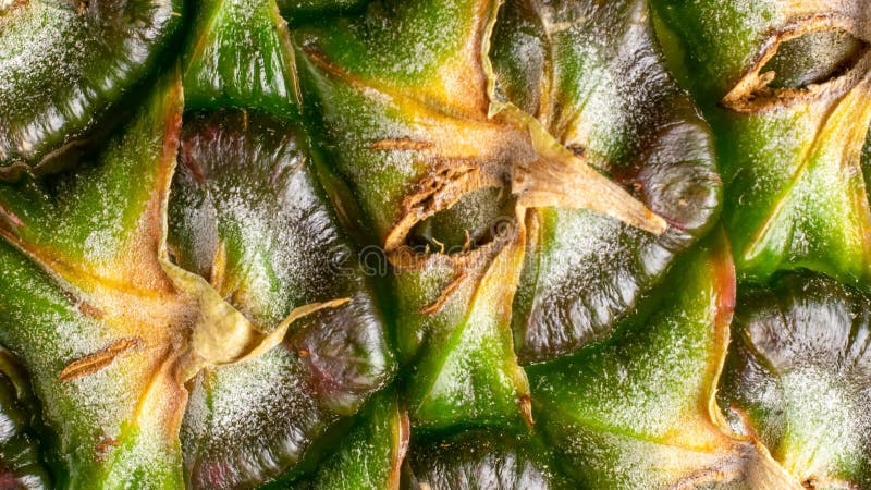 Green Pineapple Peel with Visible Details. Background Stock Video - Video of visible, exotic ...