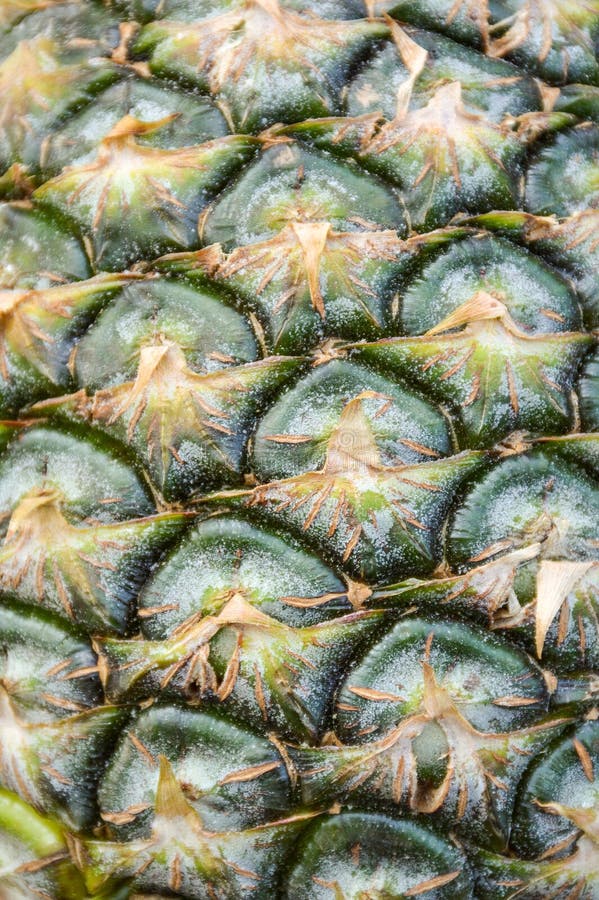 Green Pineapple Shell Texture Stock Photo - Image of background, rough ...