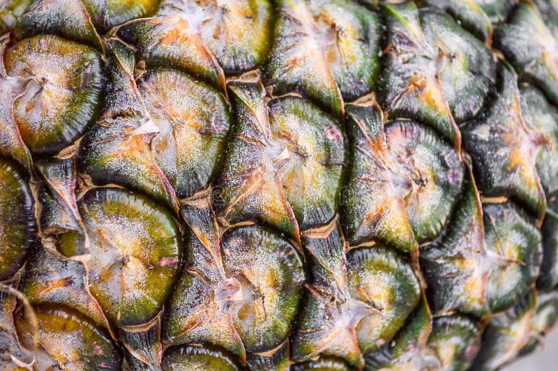 178 Green Pineapple Shell Texture Stock Photos - Free & Royalty-Free ...