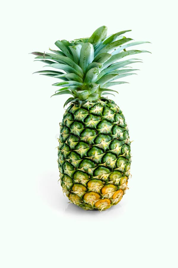 Green pineapple stock photo. Image of pineapple, green - 92092768