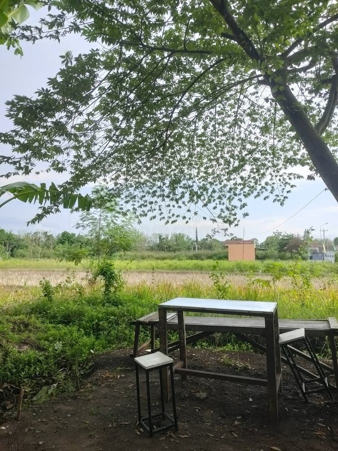 Green, Place, ViewRural, Sky,Trees Stock Image - Image of place, green ...