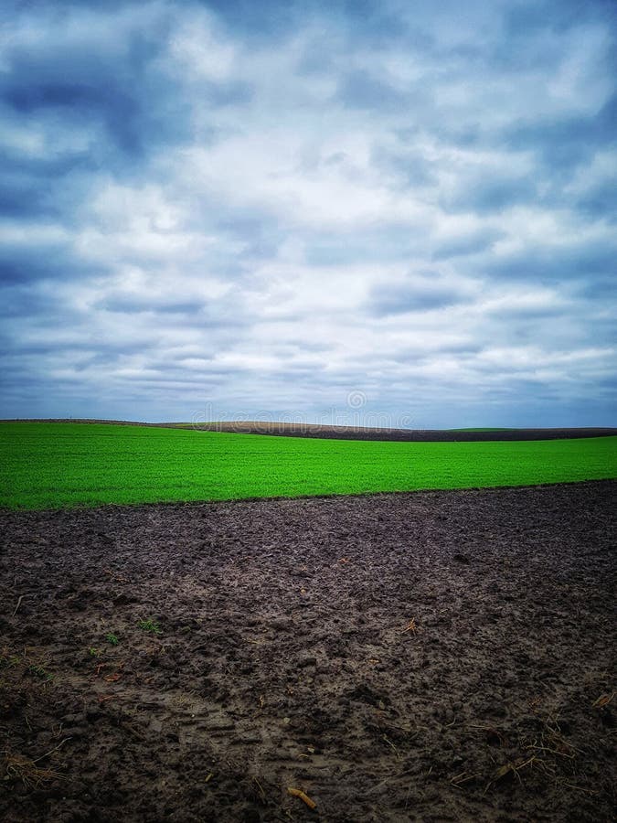 Plain landscape stock photo. Image of cloud, plain, green - 305574638