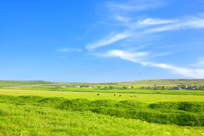 Green plain in summer stock photo. Image of farmland - 118611560