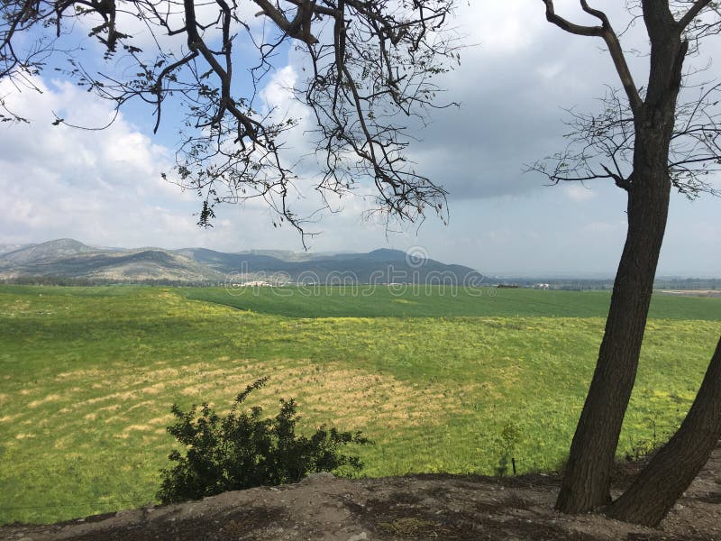 Hills and plains stock photo. Image of hills, trunk - 157320222