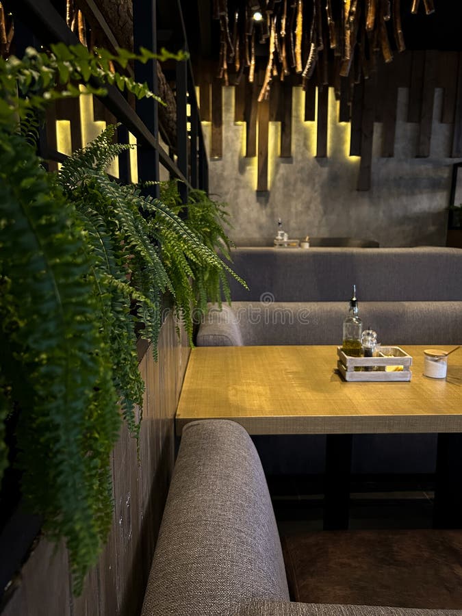 Green Plant in the Interior of a Cafe Stock Image - Image of wall ...