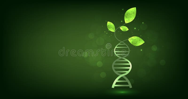 Green Plant 3d DNA Molecule Helix Stock Illustration - Illustration of ...