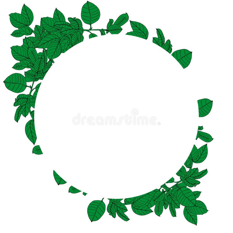 Green Plant Decoration on a White Background, Order Frame Stock Vector ...