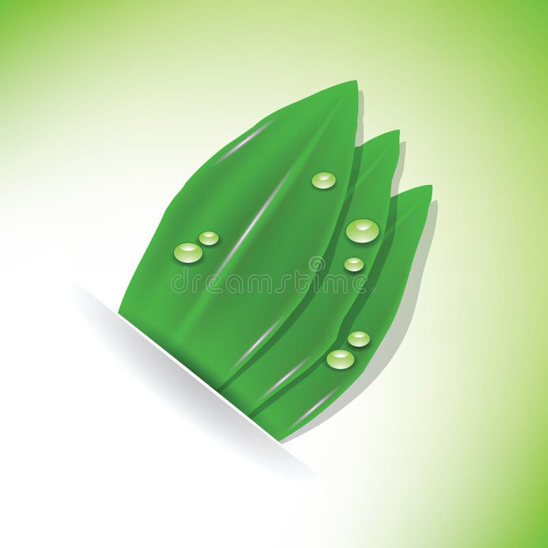 Green plant and drops stock vector. Illustration of design - 39906897