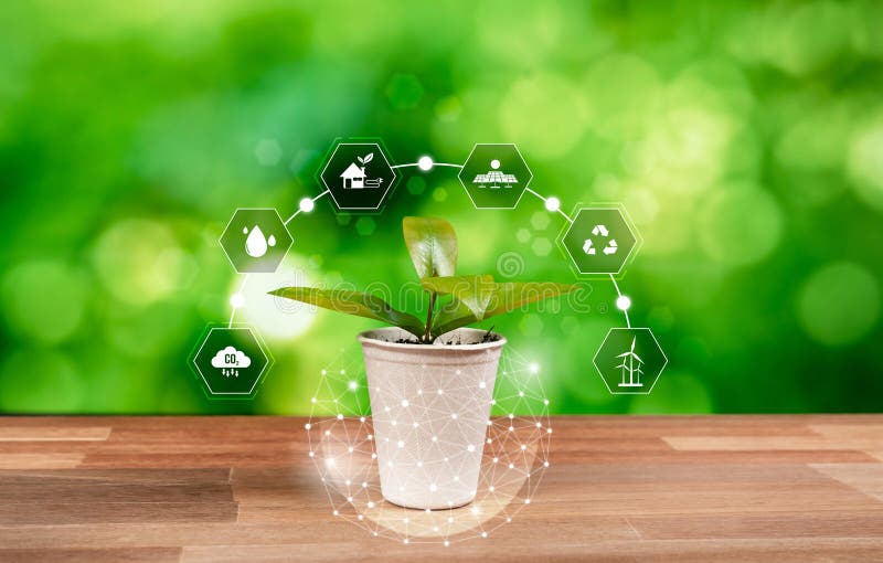 Green Plant with Eco Digital Design Icon Symbolize ESG Commitment ...