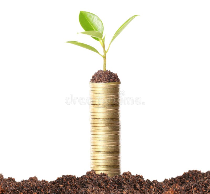 Green plant on gold coins stock image. Image of metaphor - 42319343
