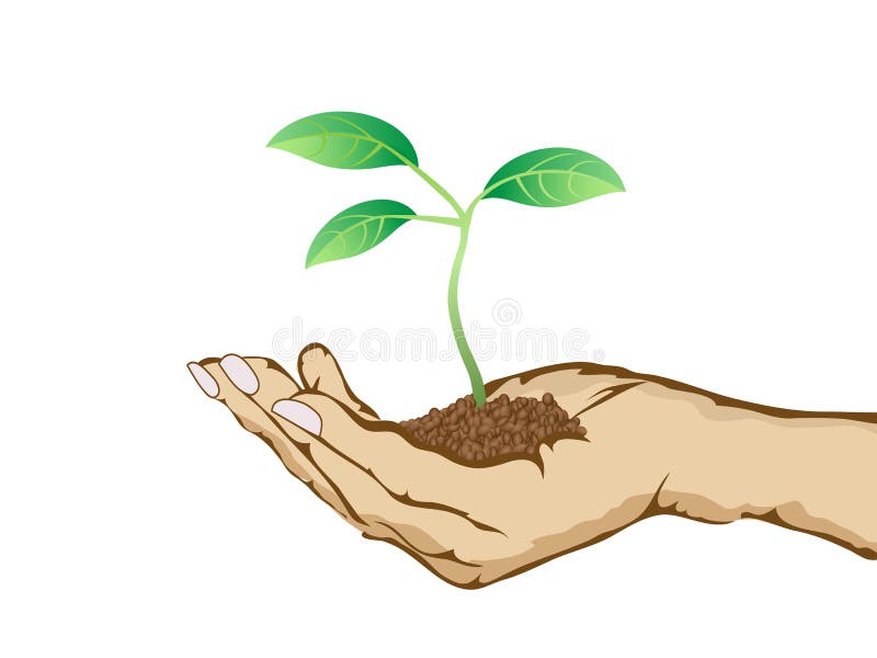 Hand tree symbol stock vector. Illustration of hand, growing - 44300910