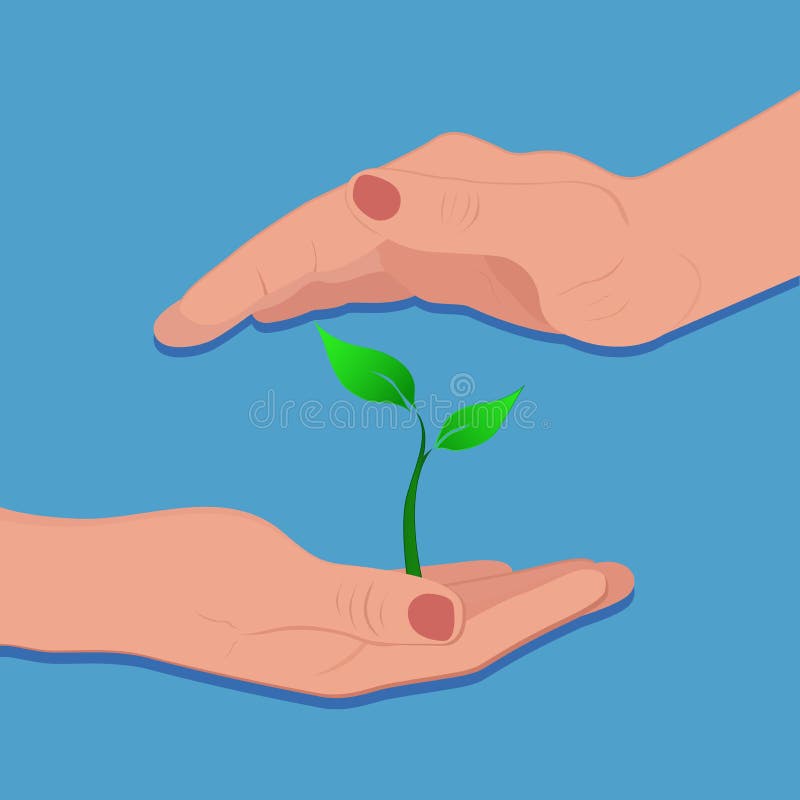 Green Plant Growing in Hand, Vector Illustration Stock Vector ...