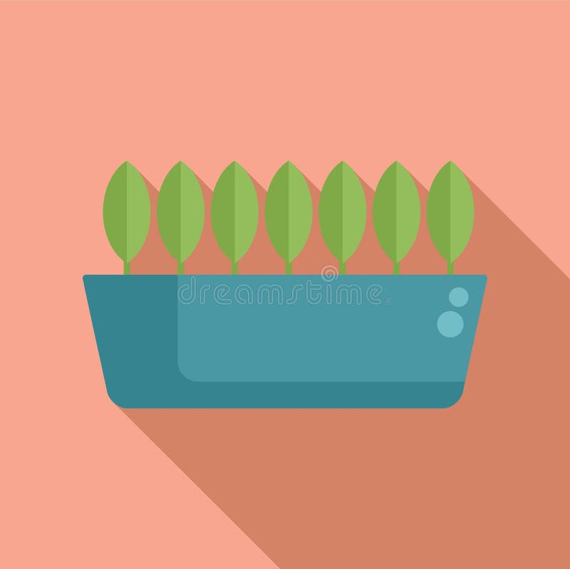 Green Plant Growing in Pot on Shelf with Long Shadow Stock Vector ...