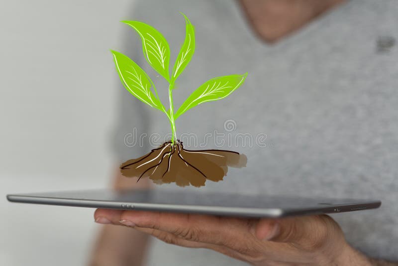 A Green Plant Growing Up Digital Stock Photo - Image of baby, compost ...