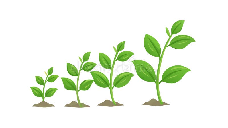 Green Plant Growth Stages Icon for Development Nature, Vector Design ...