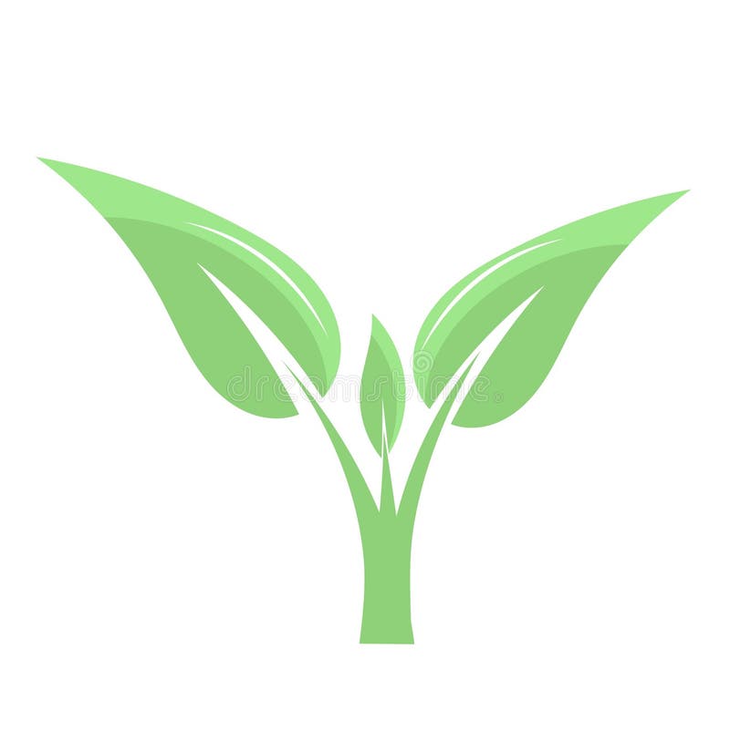 Green plant icon stock vector. Illustration of leaf - 103795856