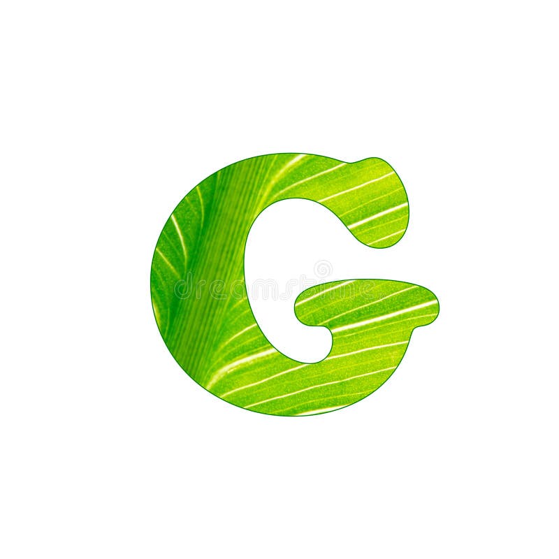 The Green Plant Letter G, Letters Cut of the Background of Green Sheet ...