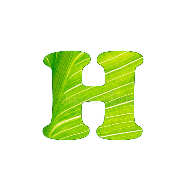The Green Plant Letter H, Letters Cut of the Background of Green Sheet ...