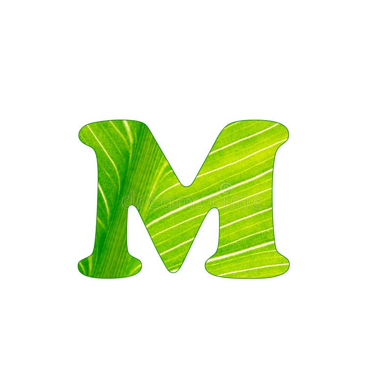The Green Plant Letter M, Letters Cut of the Background of Green Sheet ...