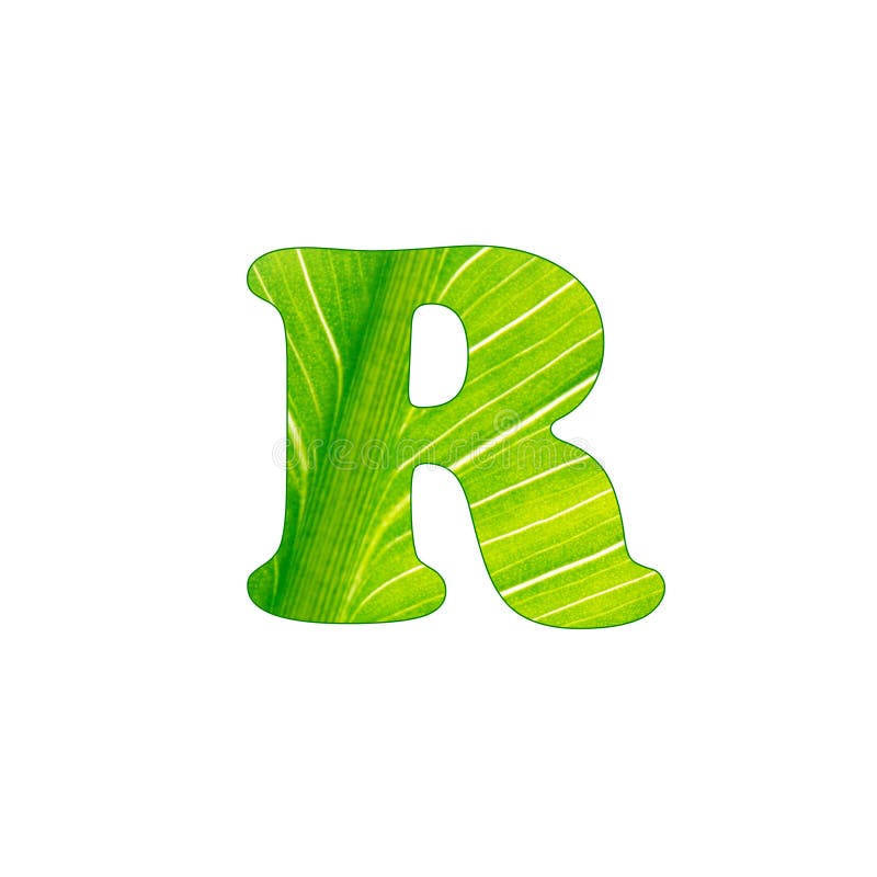 The Green Plant Letter R, Letters Cut of the Background of Green Sheet ...