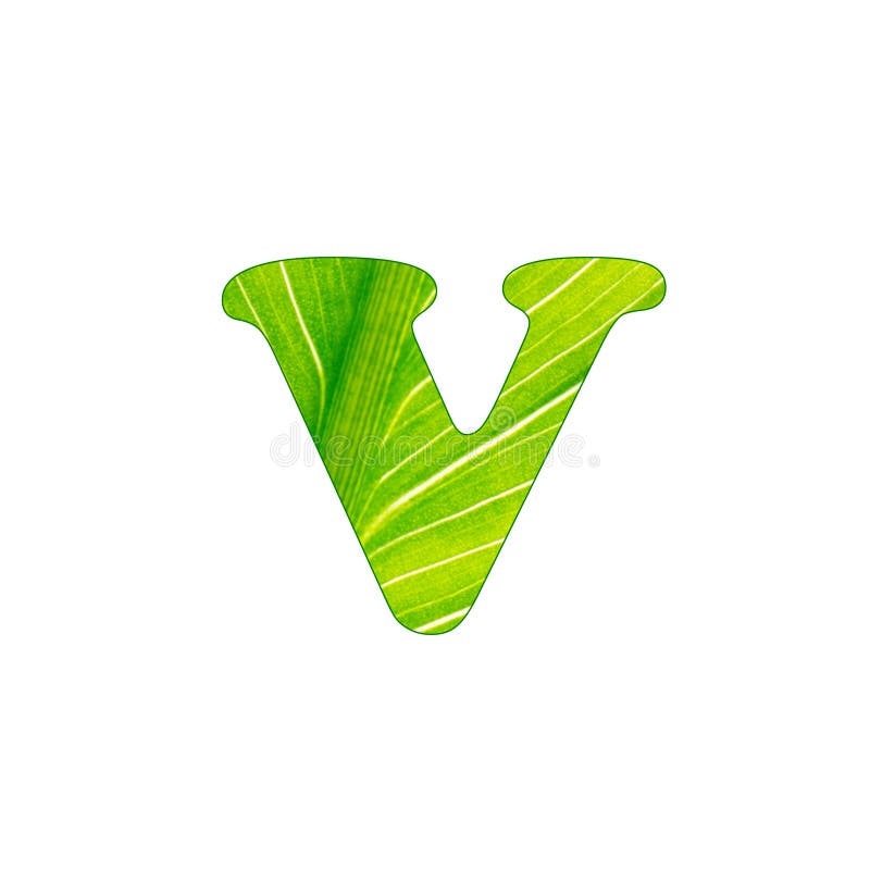 The Green Plant Letter V , Letters Cut of the Background of Green Sheet ...