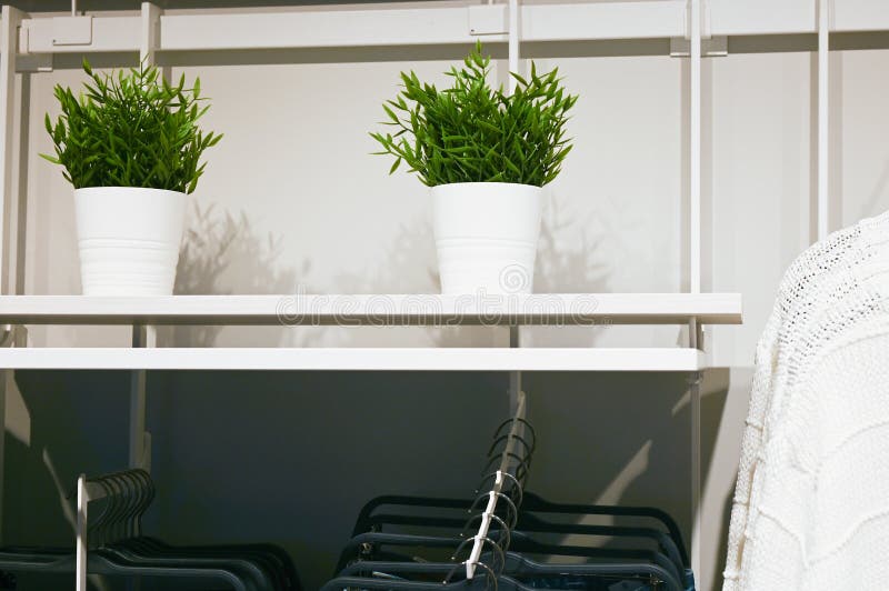 Green Plant in the Mall. this is a Shopping Area Stock Photo - Image of ...