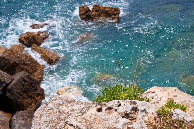 Rocks Above the Forest at Sunrise Stock Image - Image of colorful ...