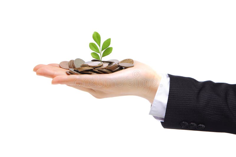 Money and Plant with Hand Finance New Business Stock Image - Image of ...