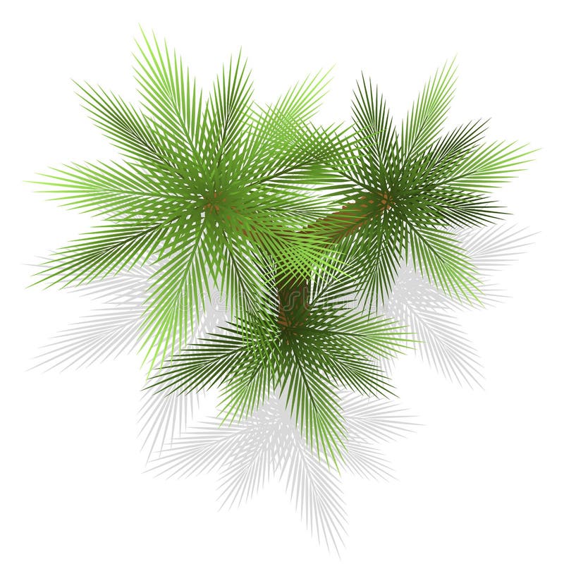 Green Plant Top View. Landscape Plan Design Stock Image - Image of view ...