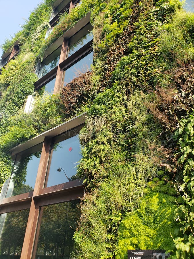 Green plants on building stock image. Image of green - 138862161