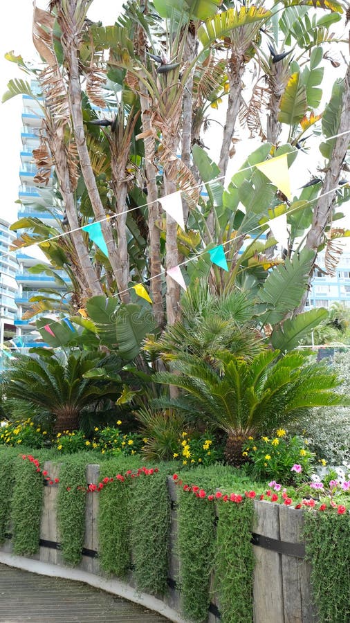 Green Plants, Colorful Flags and Flowers Stock Image - Image of petals ...