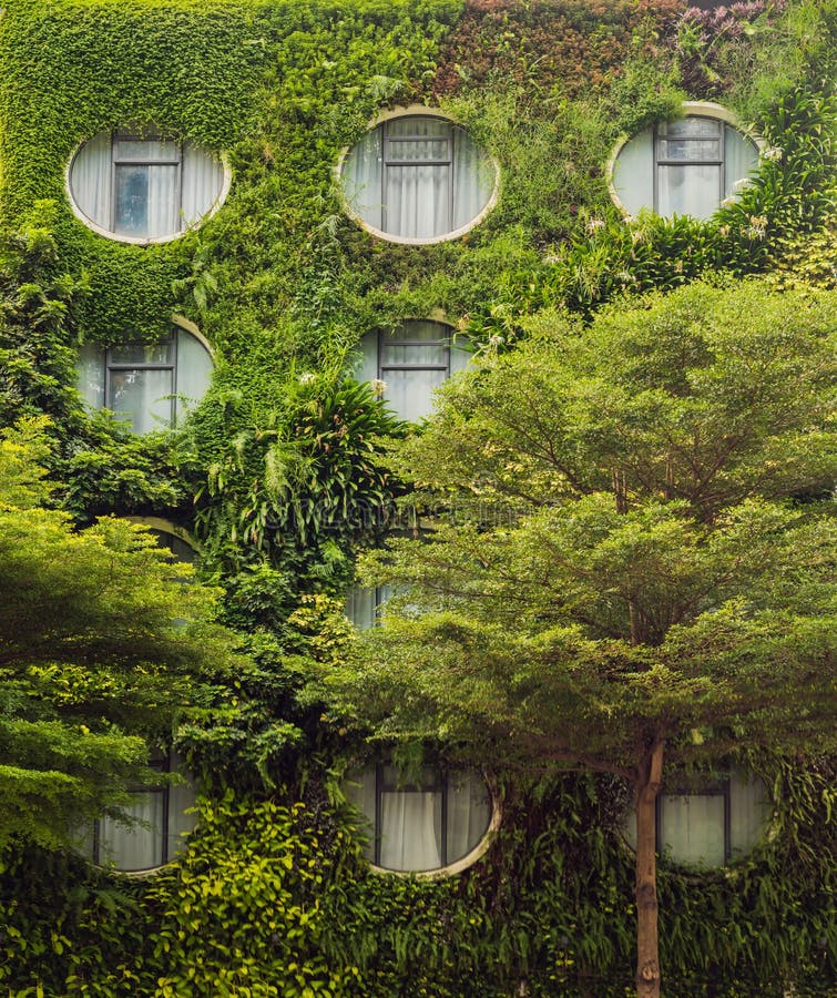 Green Plants Cover Over a Building in KL Stock Photo - Image of botany ...