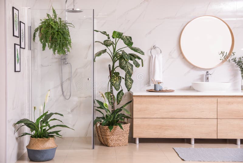 Green Plants in Elegant Modern Bathroom. Interior Design Stock Image ...
